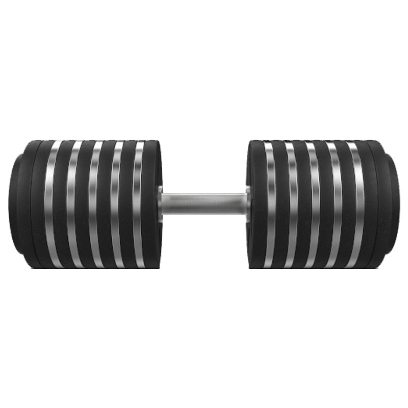 Fashion popular custom adjustable dumbbell for gym