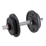 Custom dumbbell color manufacturer with wholesale price, factory supply ...